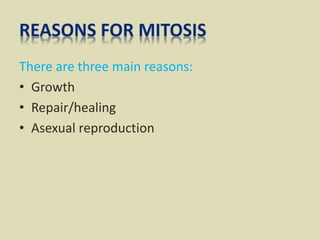 Mitosis | PPTX