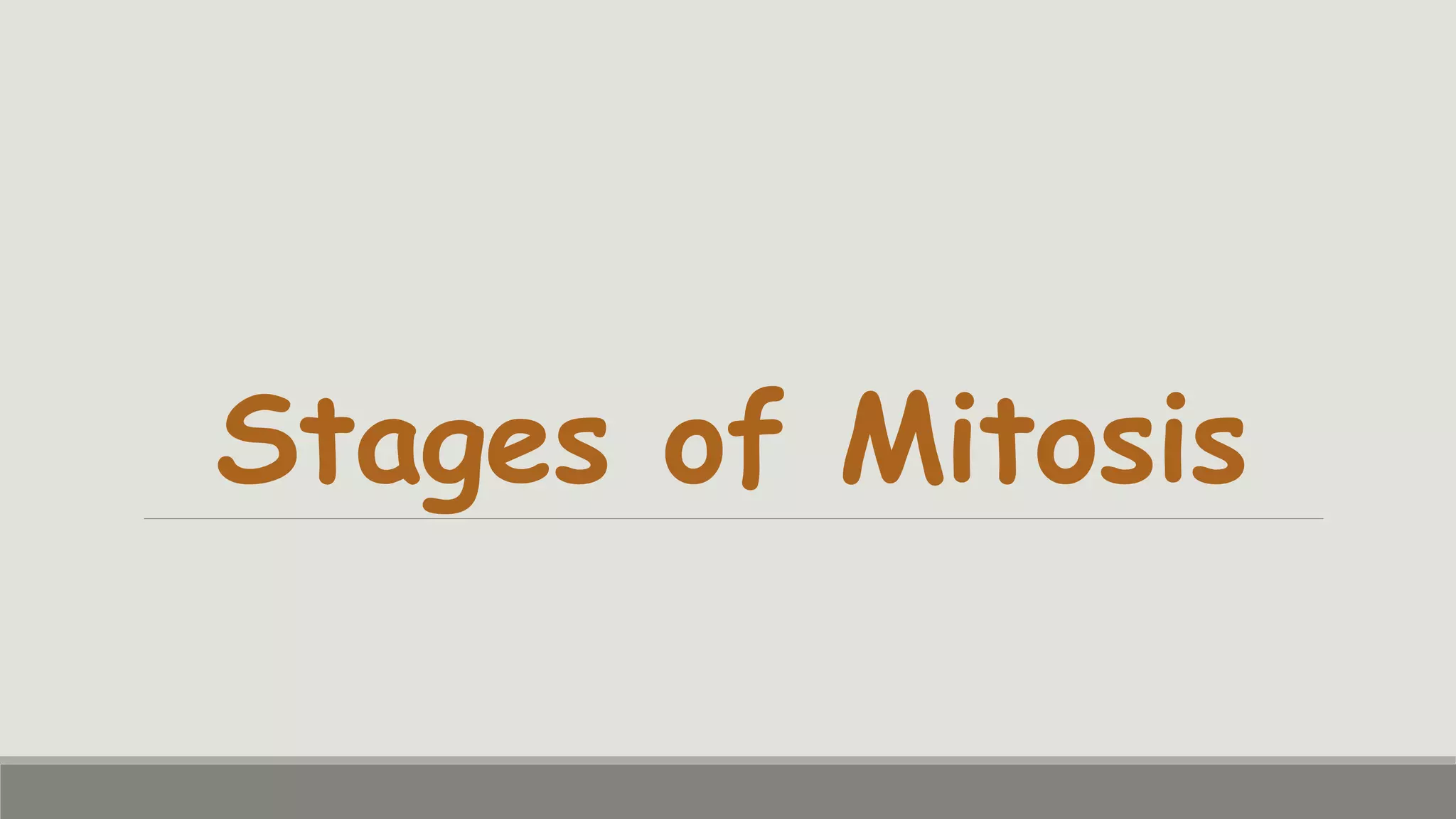 Mitosis for Your Final Demo | PPTX