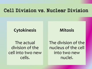 Mitosis | PPTX