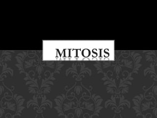 Mitosis | PPT