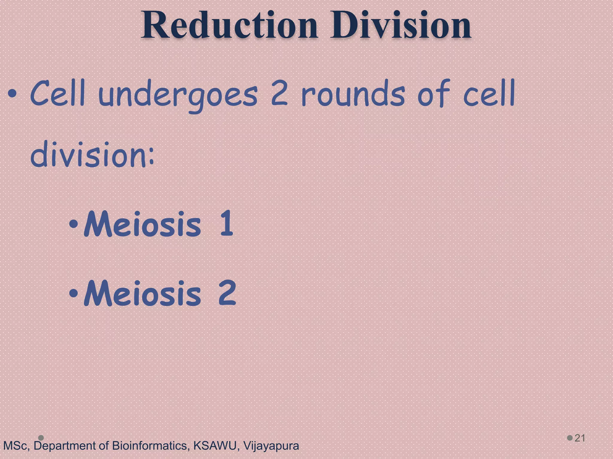 @ cell cycle - mitosis and meiosis (mnusratgulbarga@gmail.com) | PPT