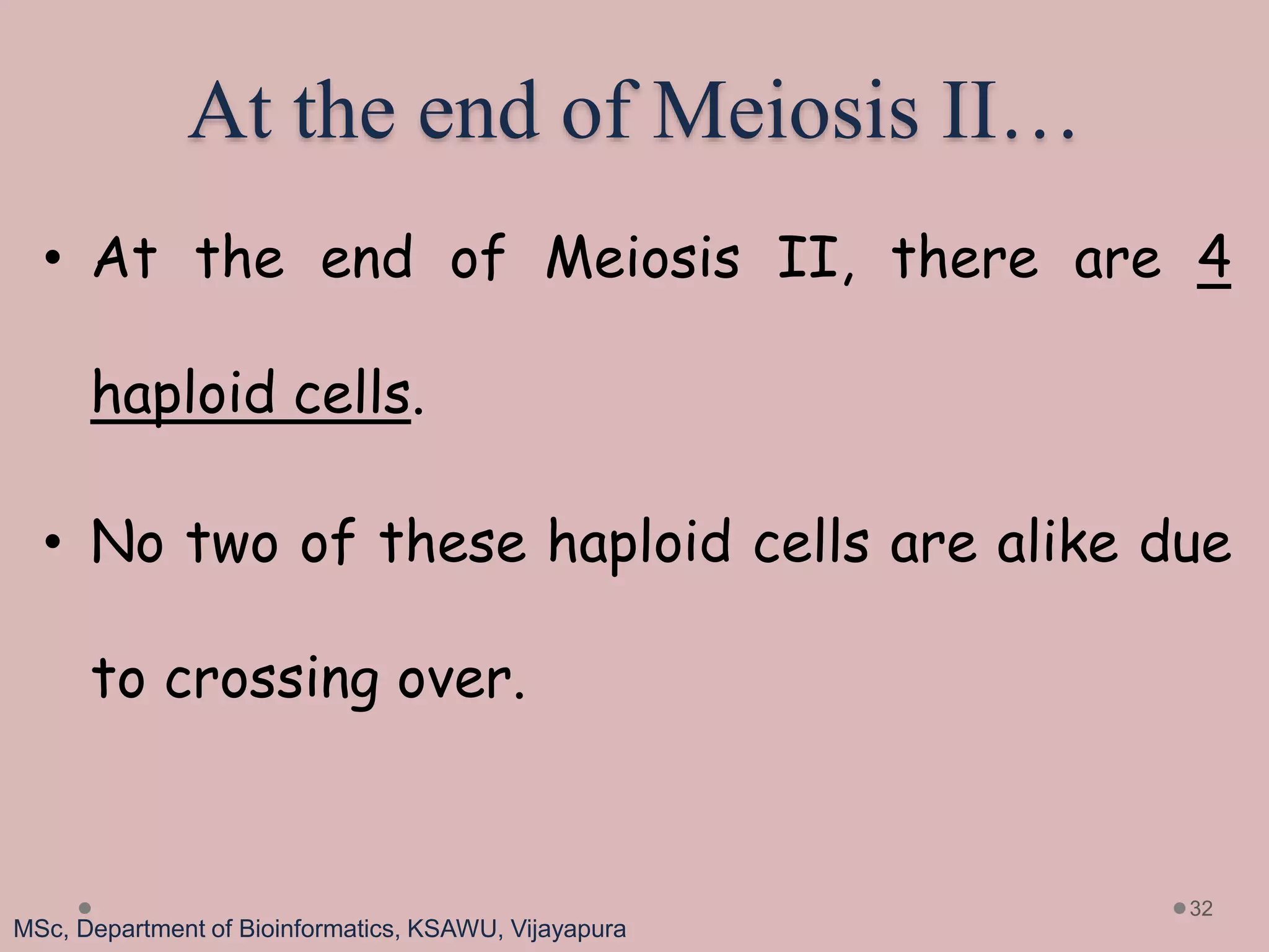 @ cell cycle - mitosis and meiosis (mnusratgulbarga@gmail.com) | PPT
