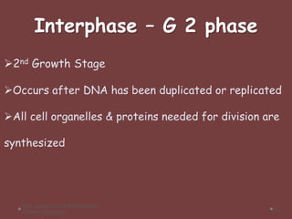 @ cell cycle - mitosis and meiosis (mnusratgulbarga@gmail.com) | PPT