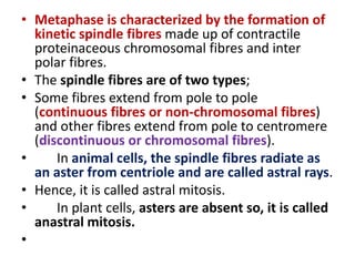 Mitosis | PPT