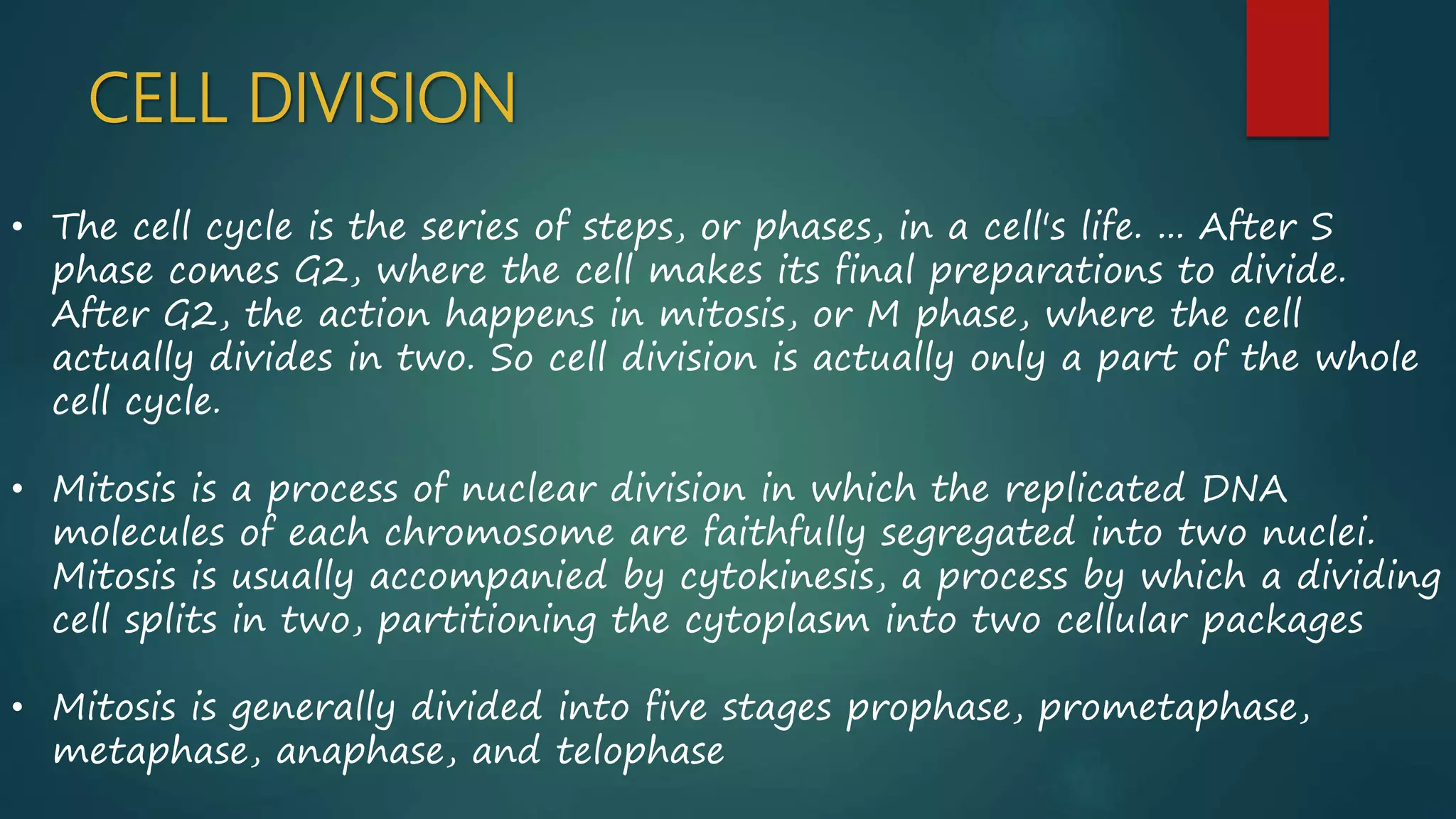 Mitosis cell division | PPTX | Biological Sciences | Science