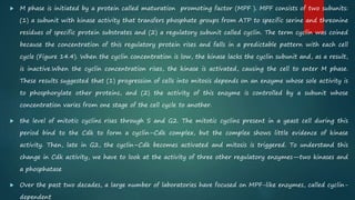 Mitosis cell division | PPTX
