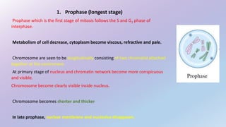Mitosis division | PPTX
