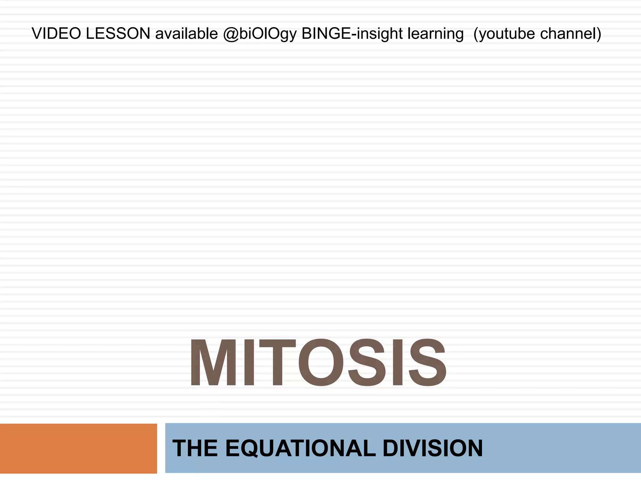 Mitosis-the equational division | PPTX