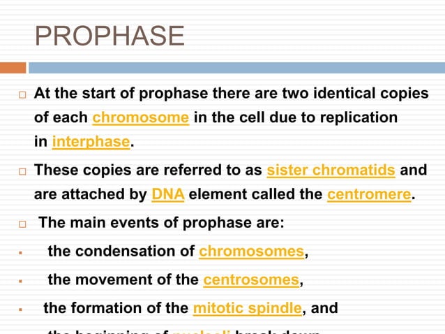 Mitosis-the equational division | PPTX