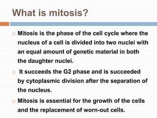 Mitosis-the equational division | PPTX
