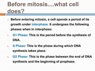 Mitosis-the equational division | PPTX