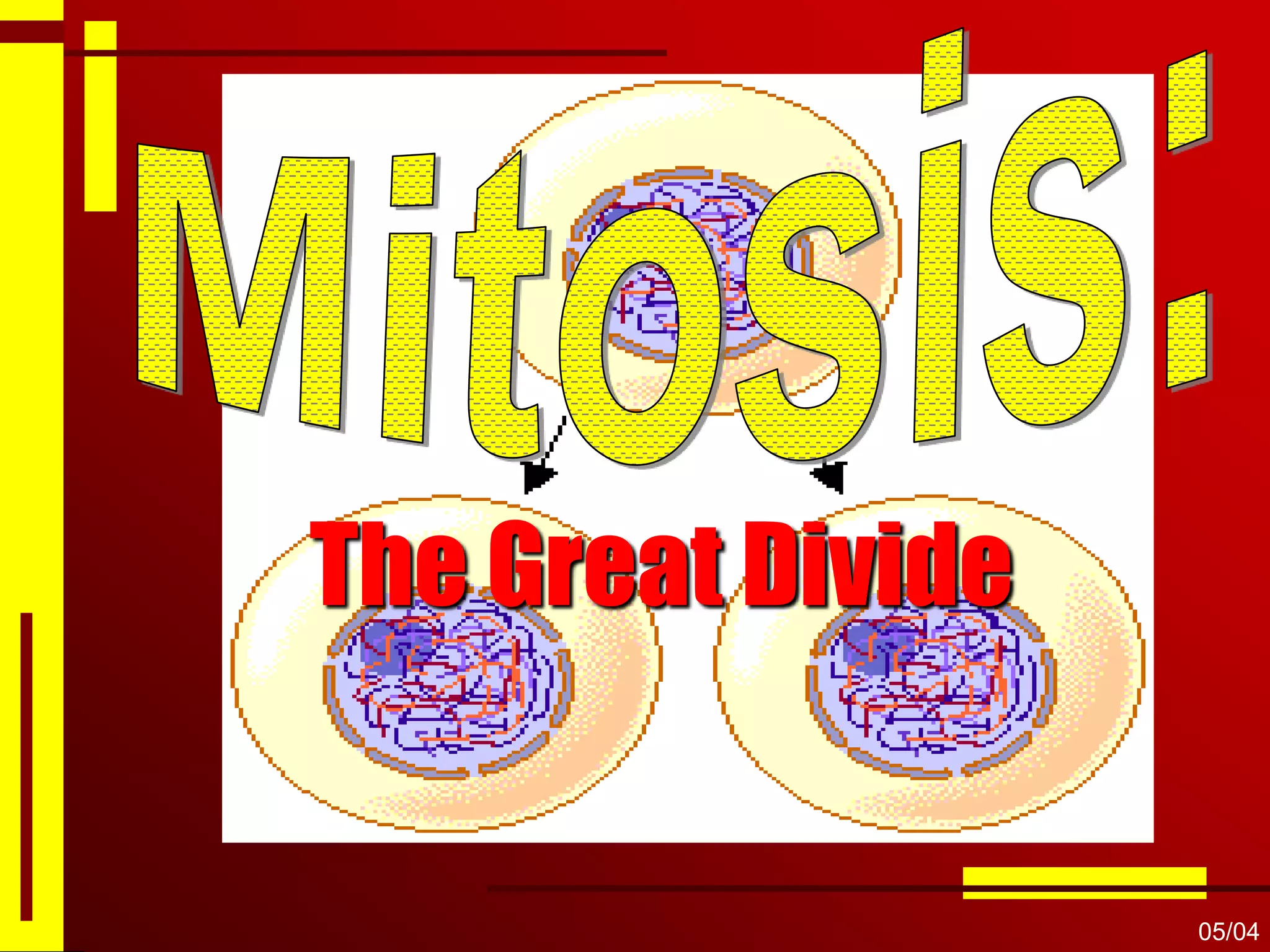 Mitosis.ppt