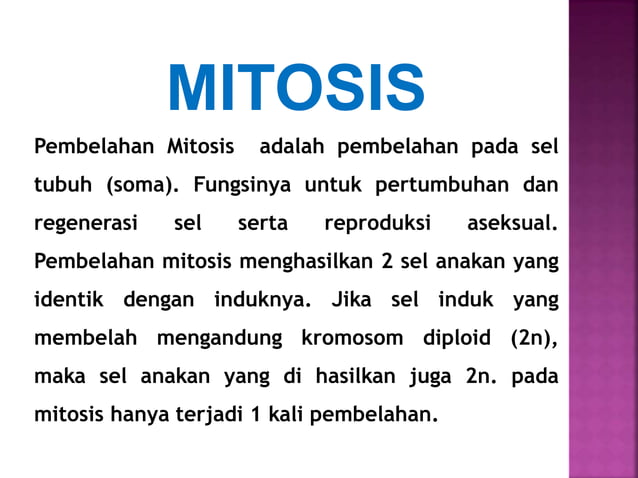 MITOSIS.pptx