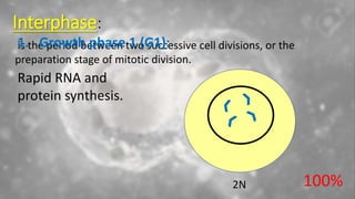 Mitosis.pptx