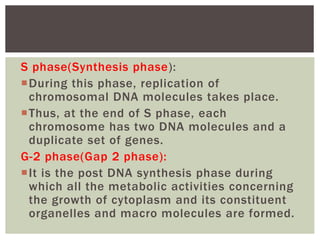 mitosis. cell division occuring in vegetative cells | PPT