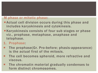 mitosis. cell division occuring in vegetative cells | PPT
