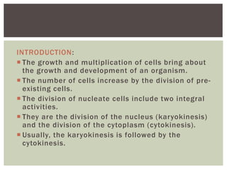 mitosis. cell division occuring in vegetative cells | PPT