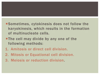 mitosis. cell division occuring in vegetative cells | PPT