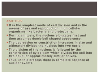 mitosis. cell division occuring in vegetative cells | PPT