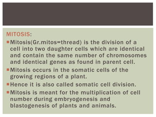 mitosis. cell division occuring in vegetative cells | PPT