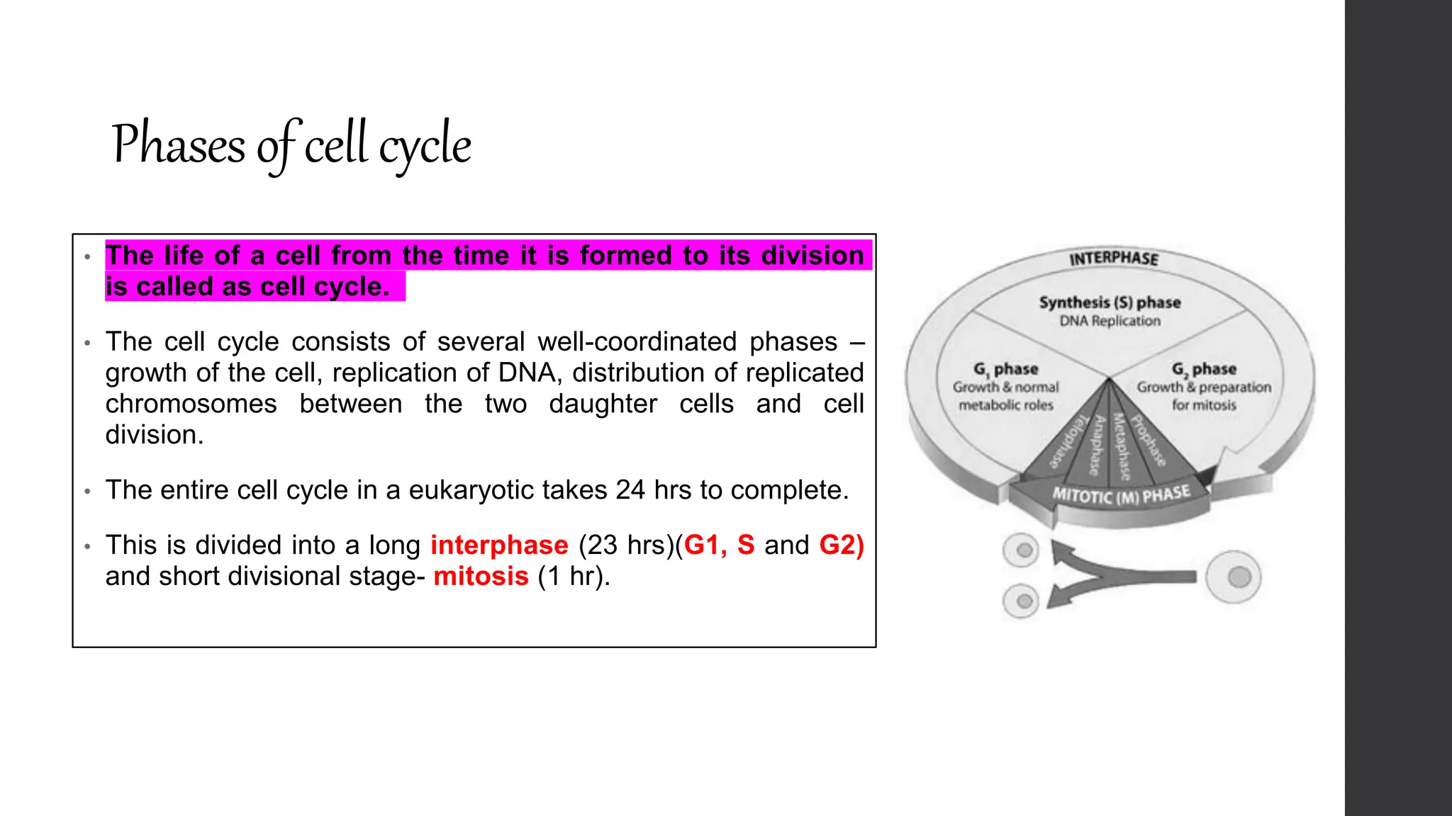 Mitosis...............................pptx