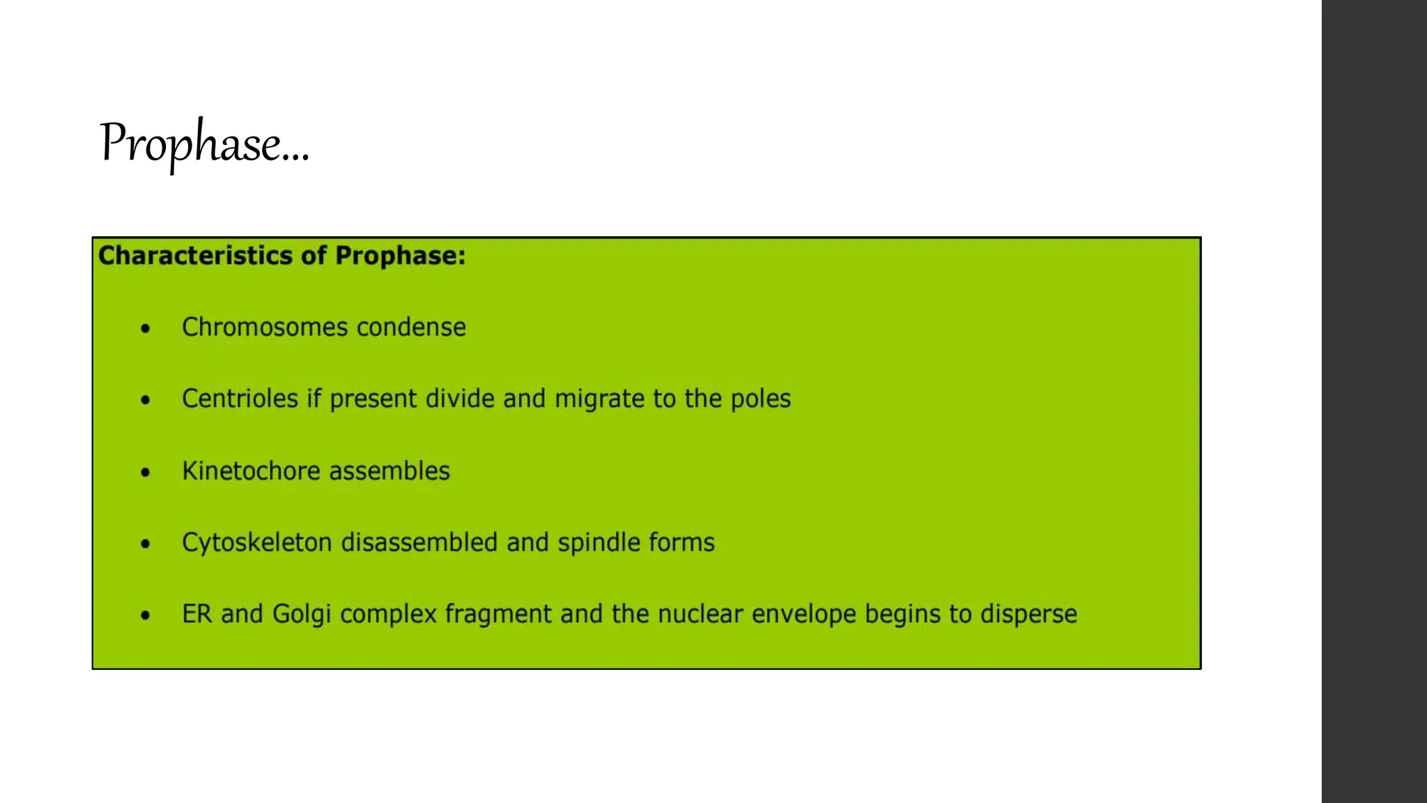 Mitosis Pptx