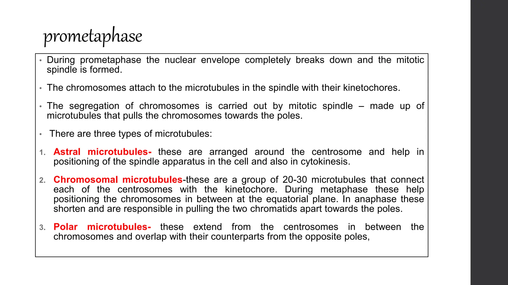 Mitosis...............................pptx