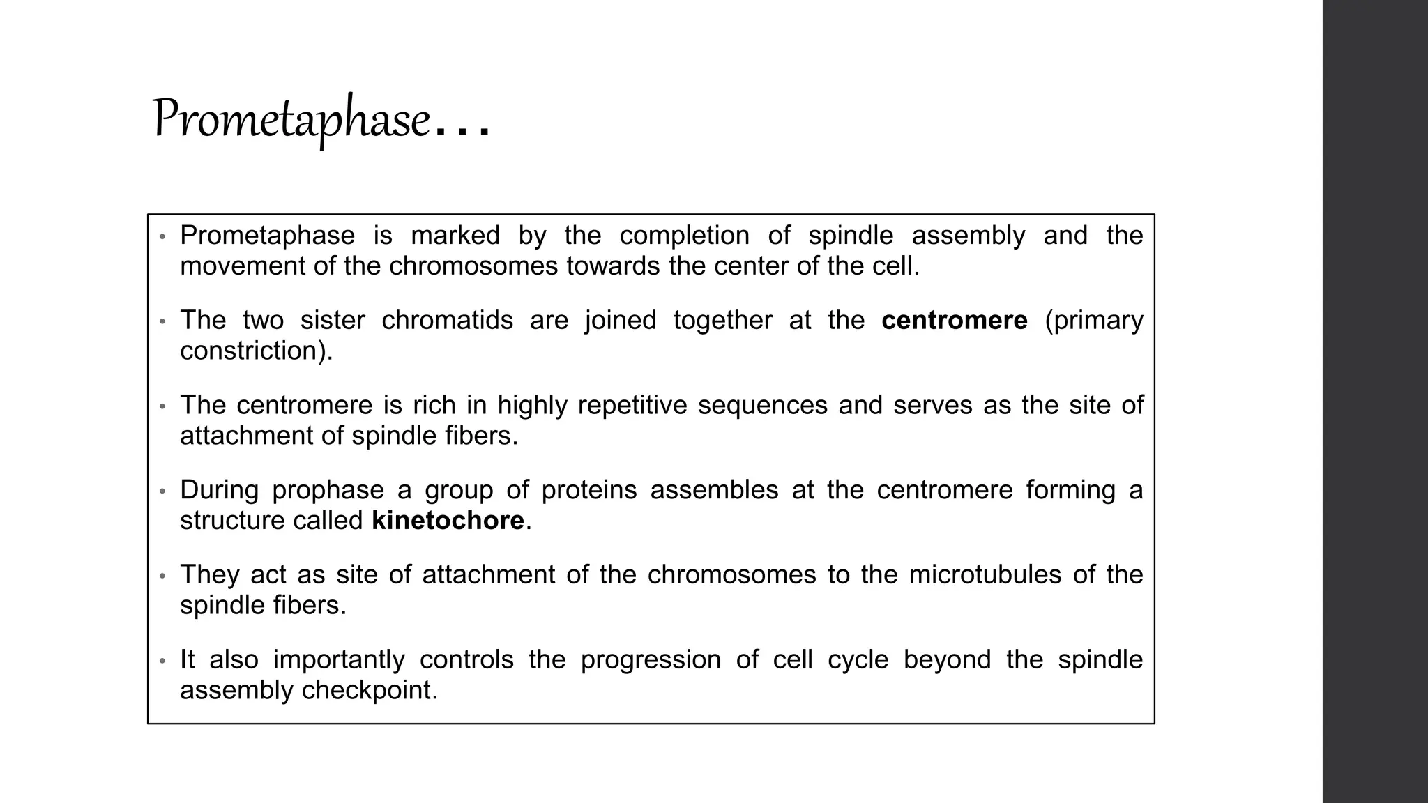 Mitosis Pptx