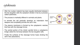 Mitosis...............................pptx