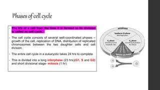 Mitosis...............................pptx