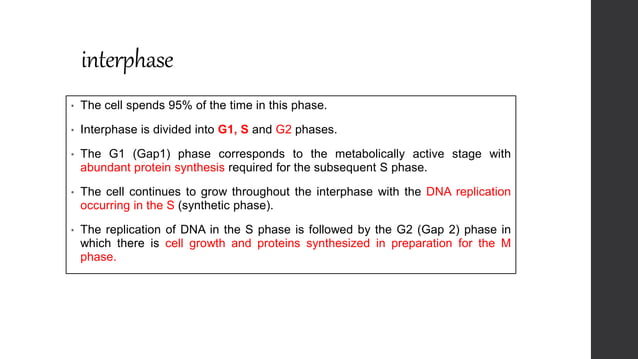 Mitosis Pptx