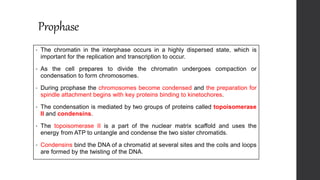 Mitosis...............................pptx