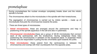 Mitosis...............................pptx