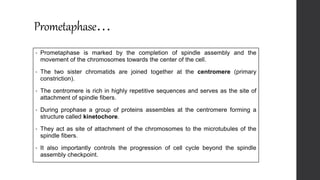 Mitosis...............................pptx