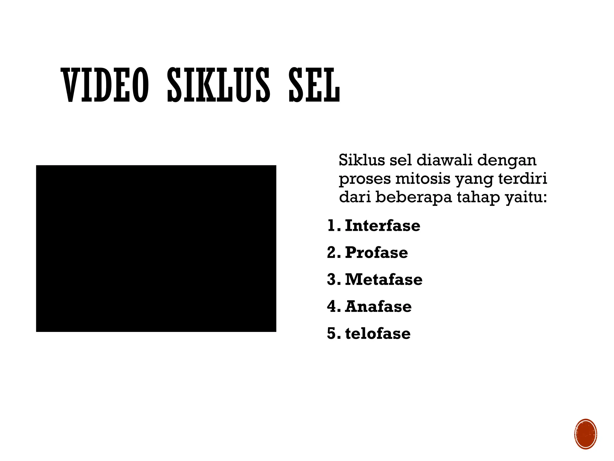 power point siklus mitosis pada sel.pptx