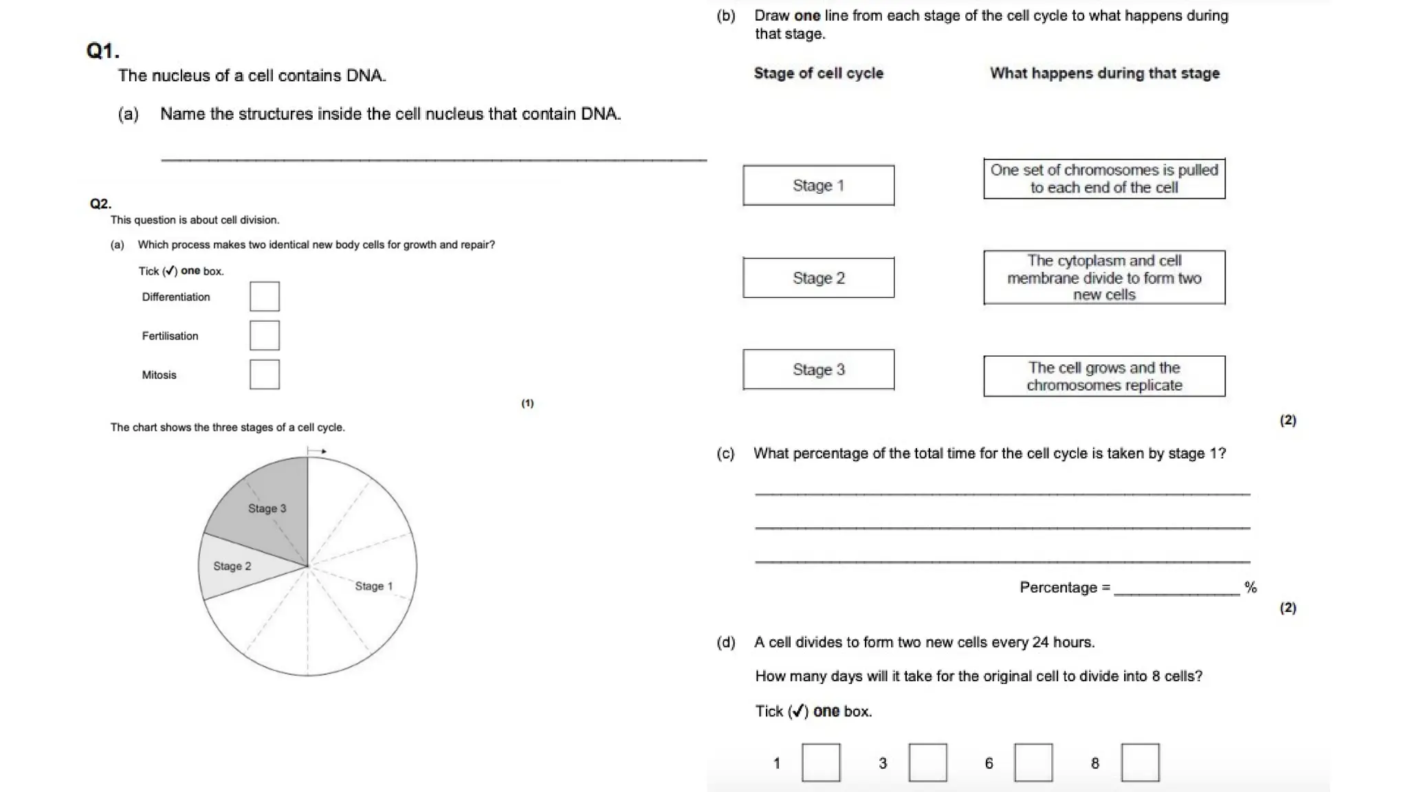 Cell Cycle Mitosis AQA GCSE Biology.pptx
