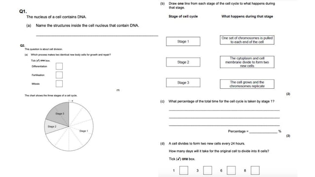 Cell Cycle Mitosis Aqa Gcse Biology Pptx