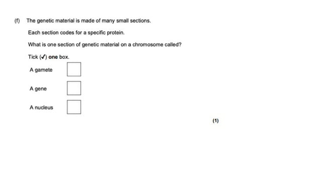 Cell Cycle Mitosis Aqa Gcse Biology Pptx