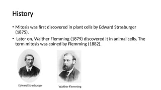 Mitosis.pptxxxxxxxxxxxxxxxxxxxxxxxxxxxxxxxx | PPT