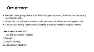 Mitosis.pptxxxxxxxxxxxxxxxxxxxxxxxxxxxxxxxx | PPT