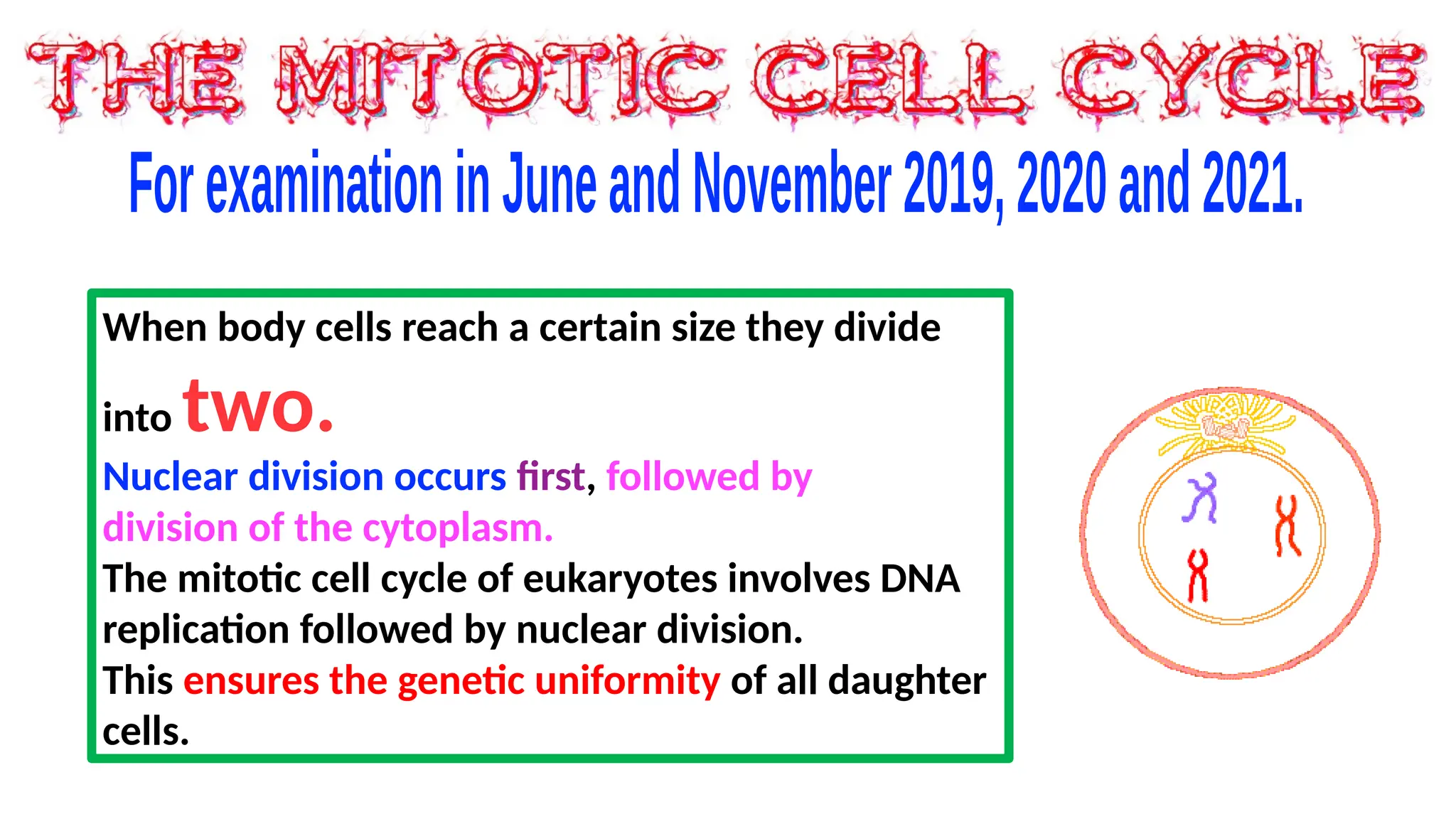 Mitosis cell cycle biology IGCSE 0610 revision | PPTX