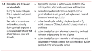 Mitosis cell cycle biology IGCSE 0610 revision | PPTX