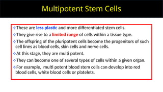 Mitosis cell cycle biology IGCSE 0610 revision | PPTX