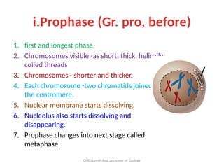 DIFFERENT PHASES OF MITOSIS-CELL DIVISION | PPT