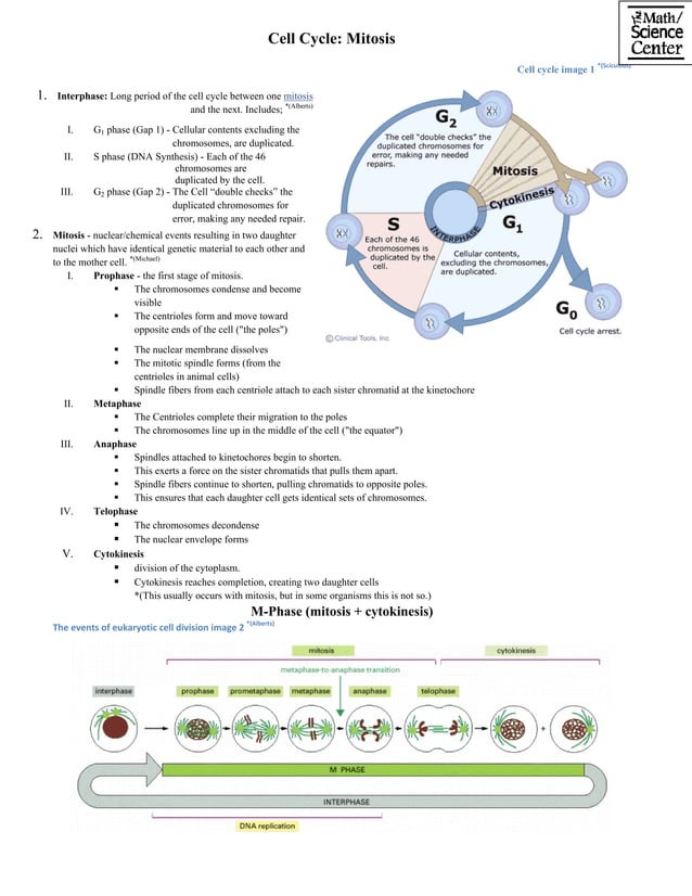 General Biology Senior High School (mitosis).pdf