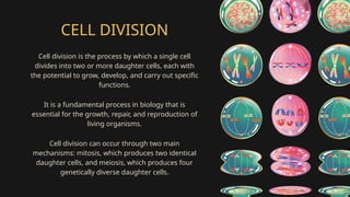 MITOSIS - Cell1 - agham at teknolohiya.pptx