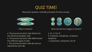 MITOSIS - Cell-From one to two-Mitosis.pptx