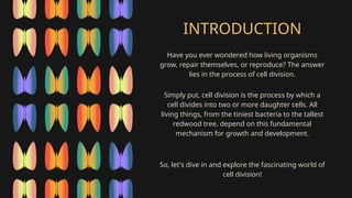 MITOSIS - Cell-From one to two-Mitosis.pptx