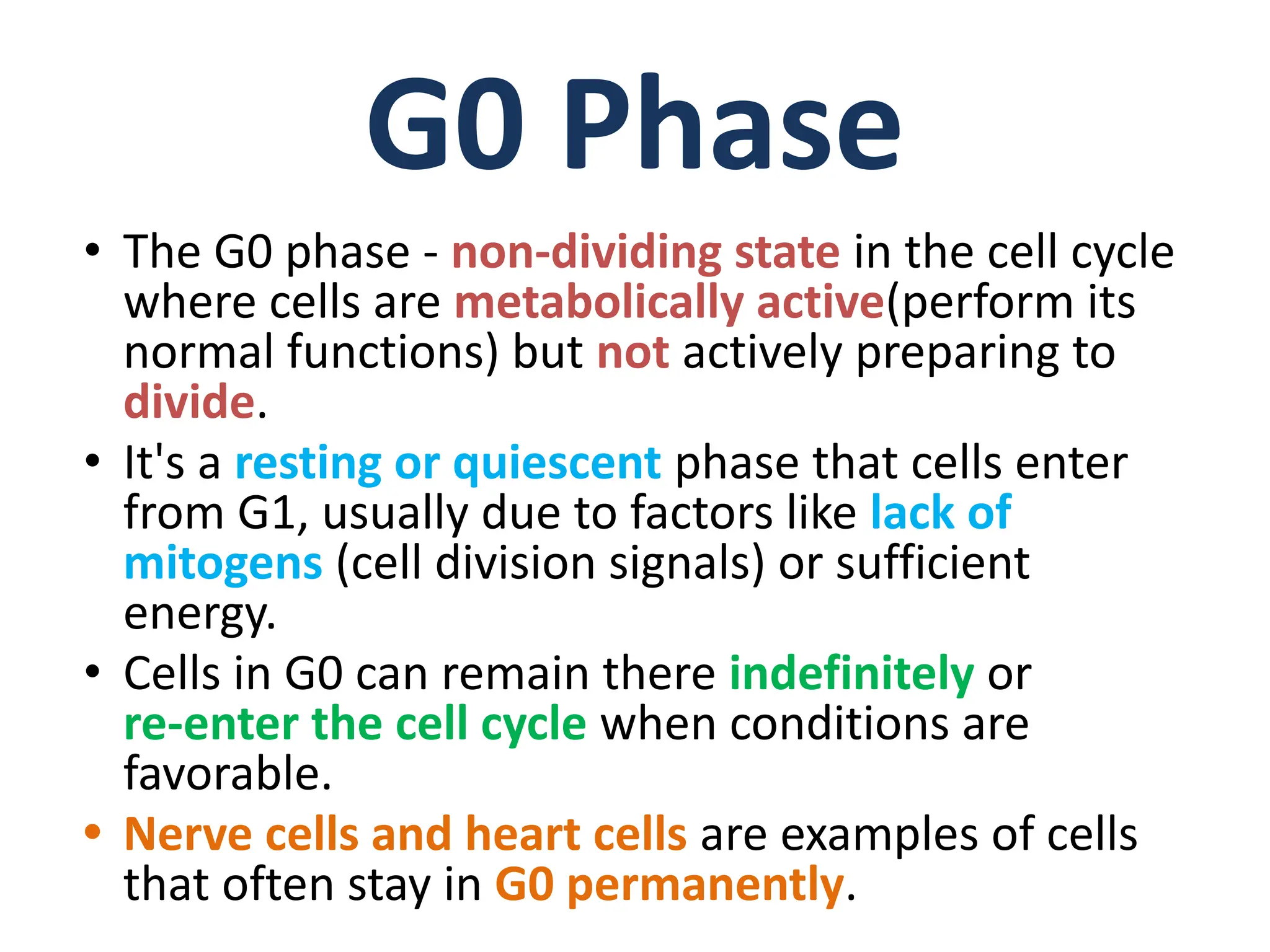 mitosis- Cell cycle and their check points | PDF