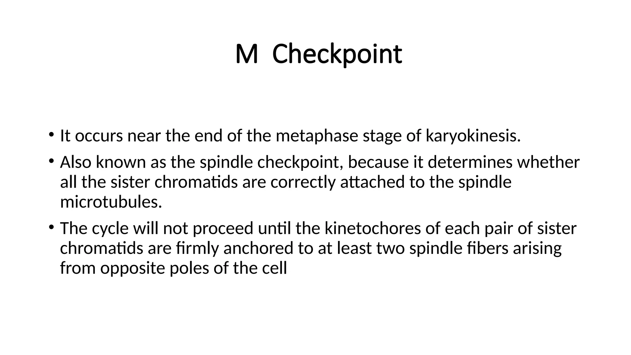 The stages of mitosis and cell division frim prophase to telophase | PPTX